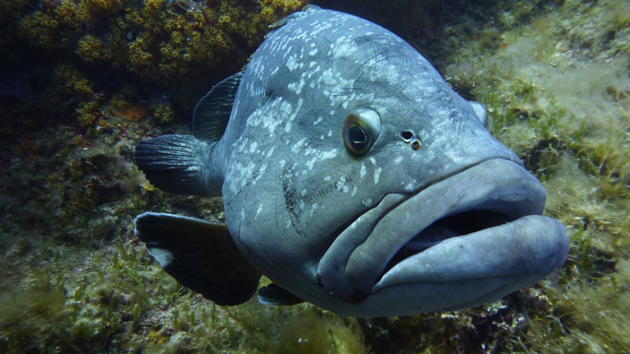 Qui sommes nous ? – EVASION BLEUE